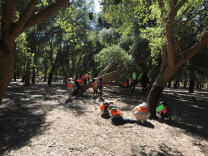 Coombs Early Learning