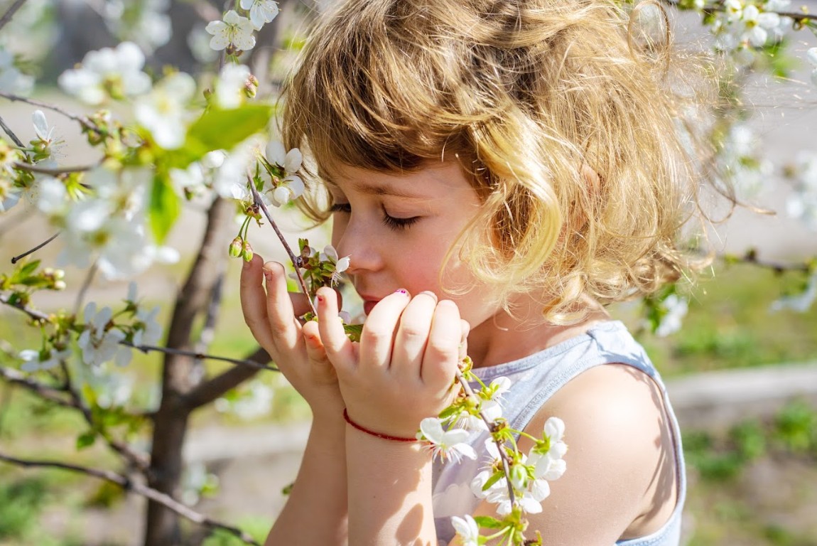 What is Bush Kinder and Why It’s So Valuable | Coombs ELC